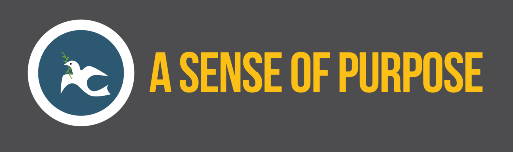 A Sense of Purpose - DiscoverAudit.org – Discover a Career in Public ...